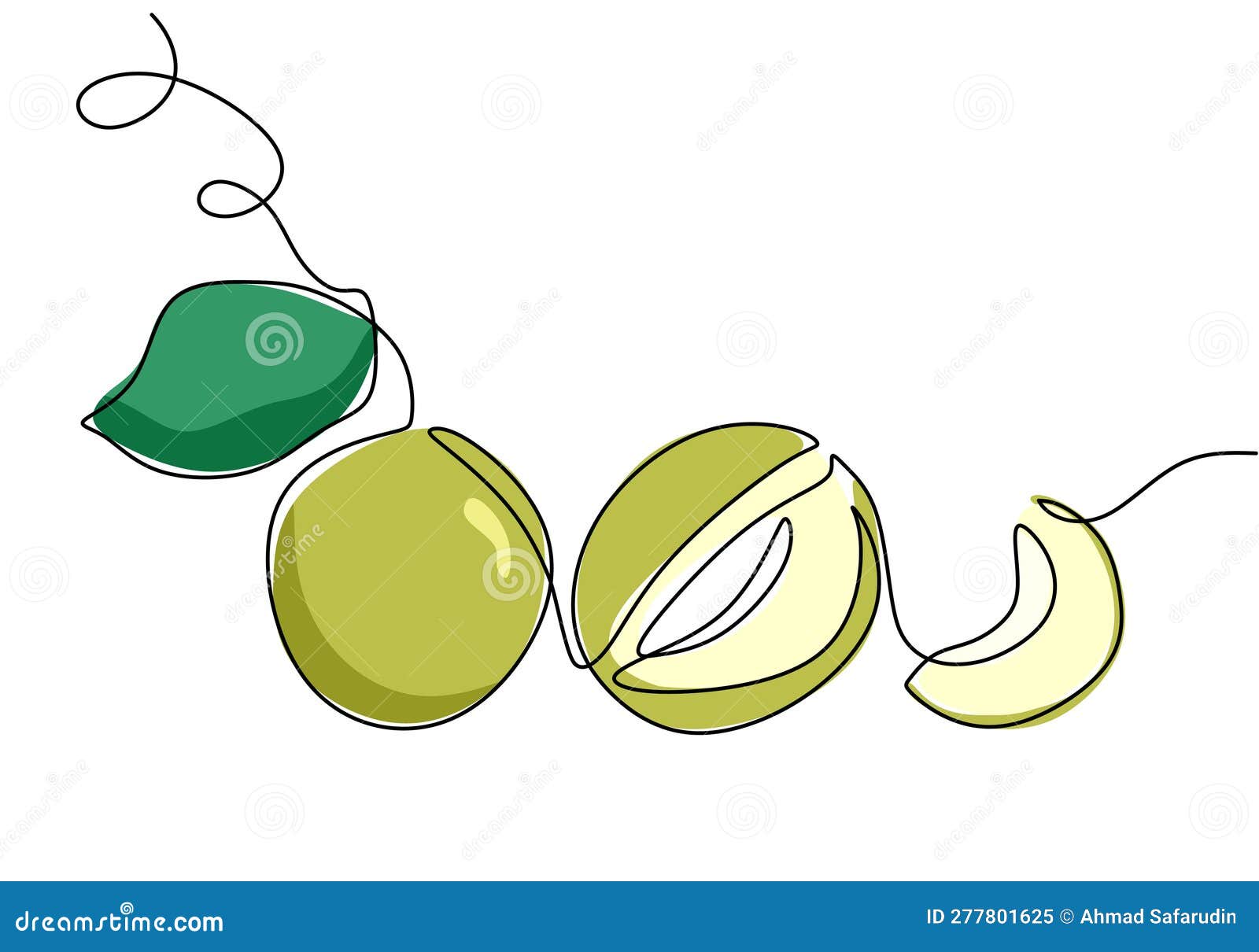 Melon Continuous One Line Drawing, Fruit Vector Illustration Stock ...