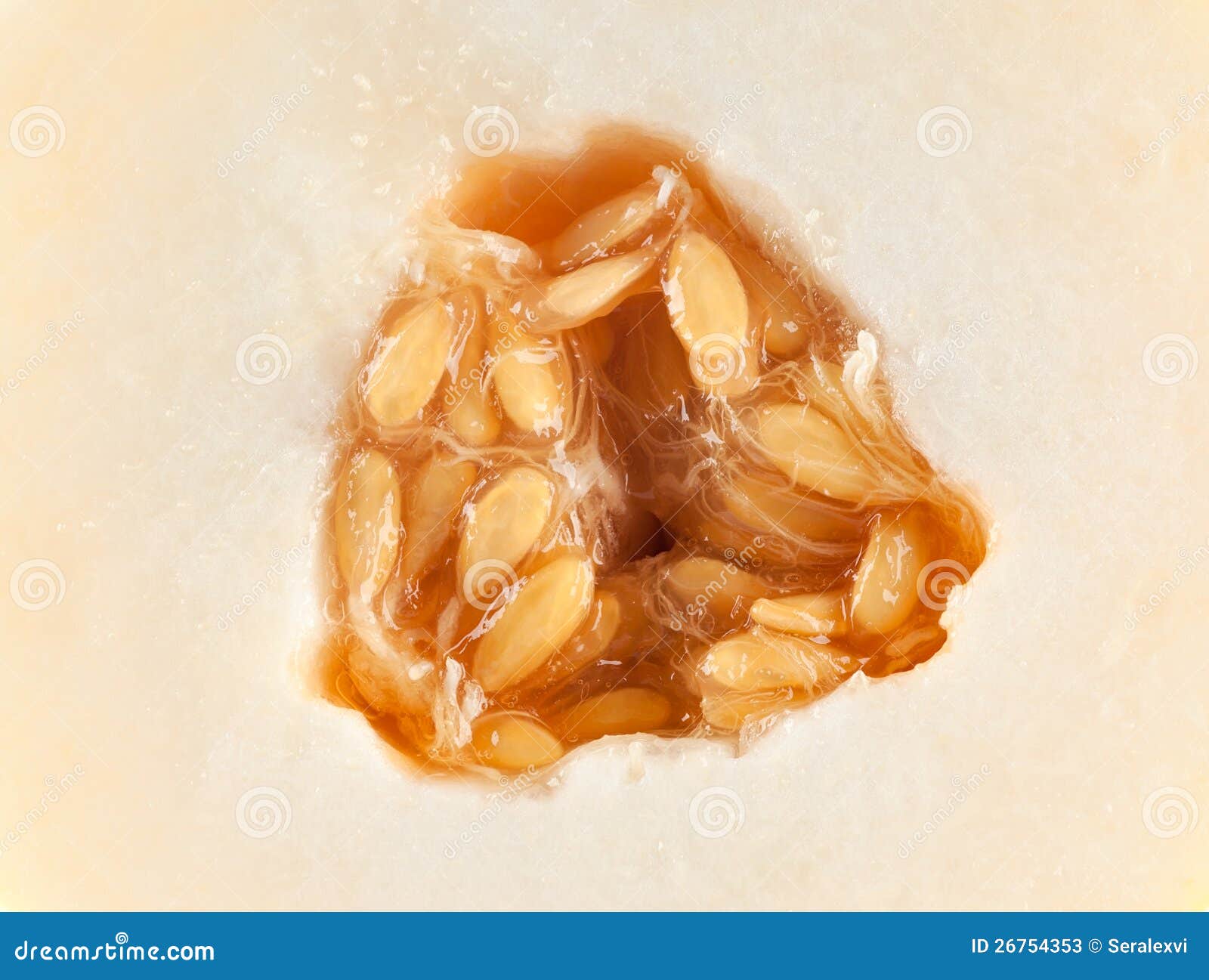 Melon core stock image. Image of bread, cereal, loaf - 26754353