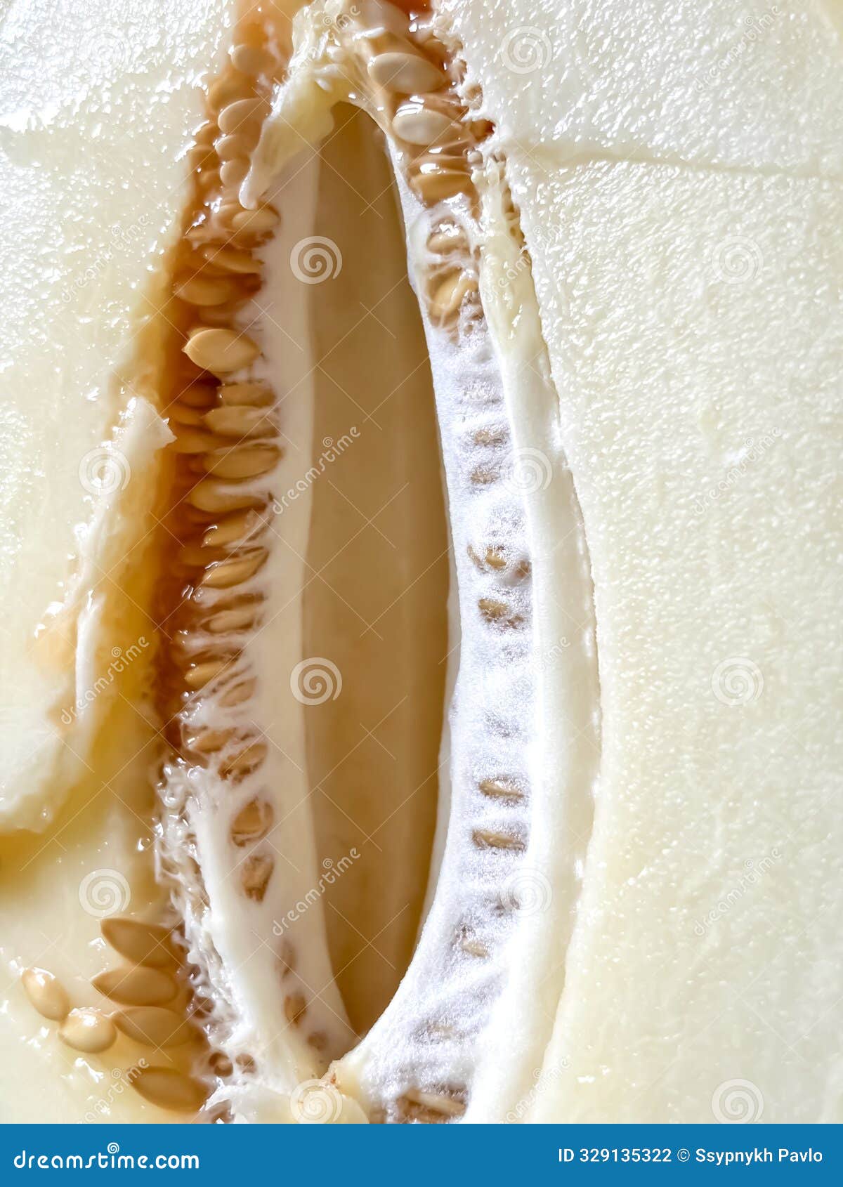 Melon Cut - Inside. Melon Seeds Inside when Cut. Close-up of Melon Pulp ...