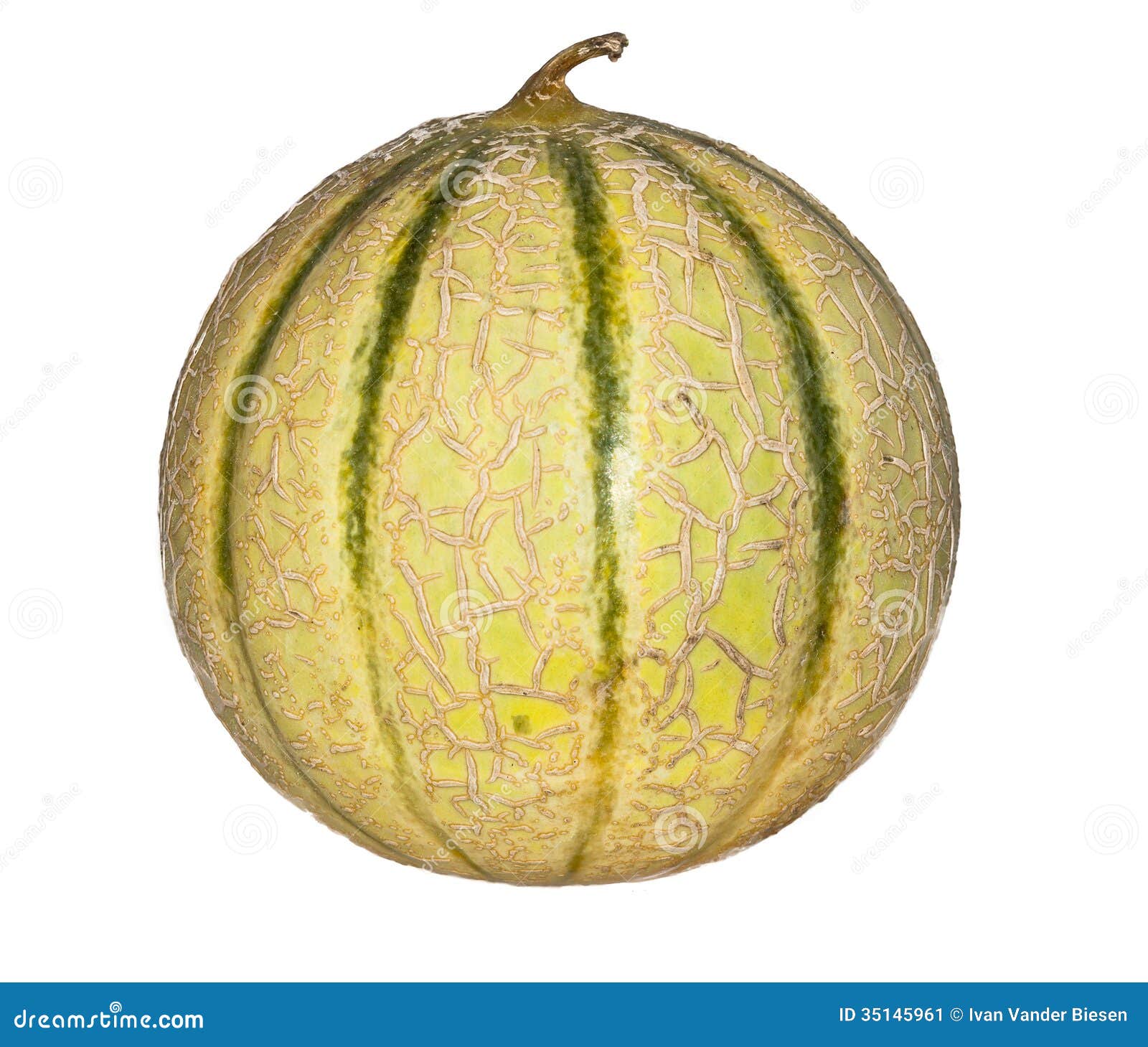 Melon D'isolement Sur Un Fond Blanc Image stock - Image du nourriture ...
