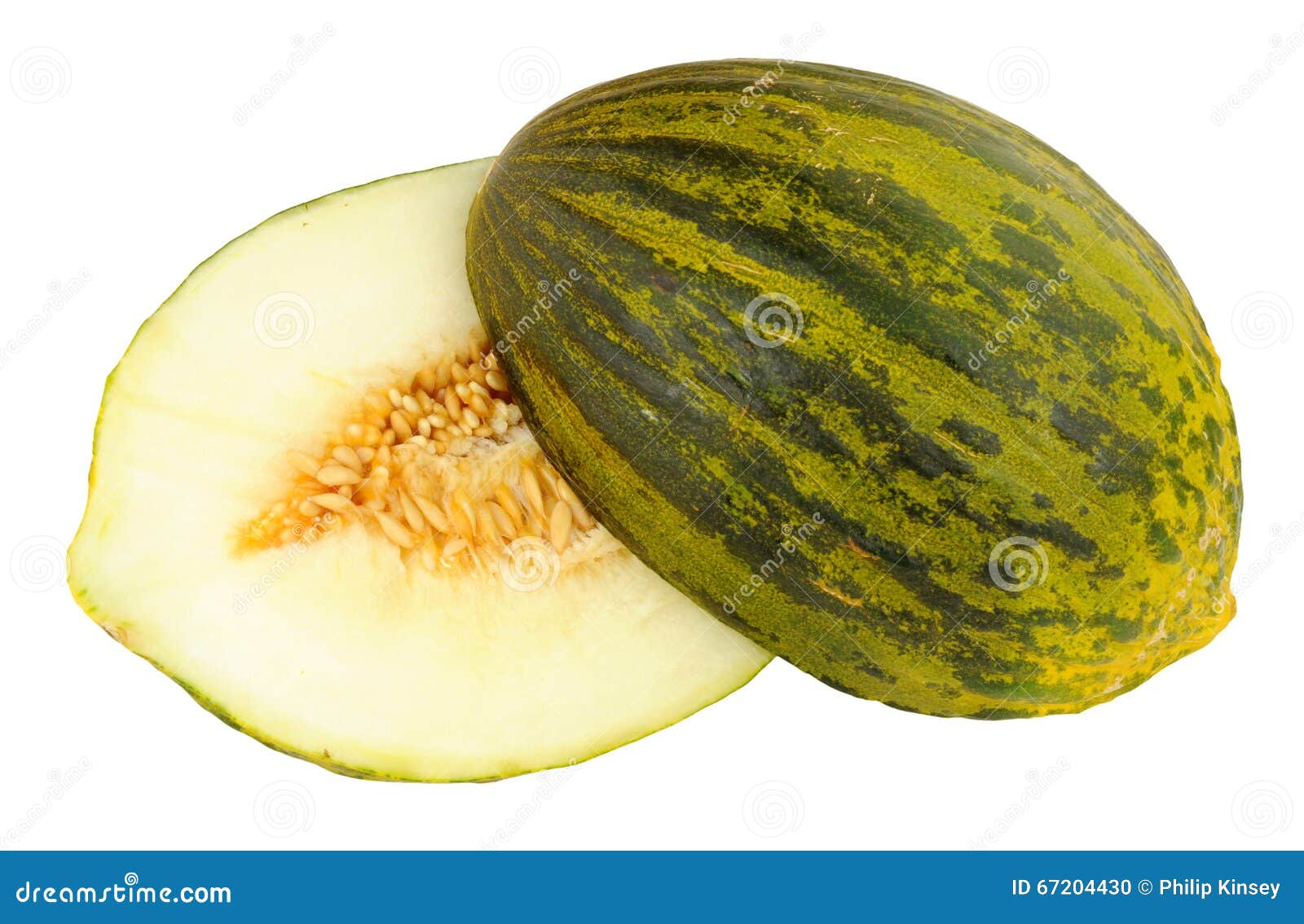 Melon de Piel de sapo photo stock. Image du variété, juteux - 67204430