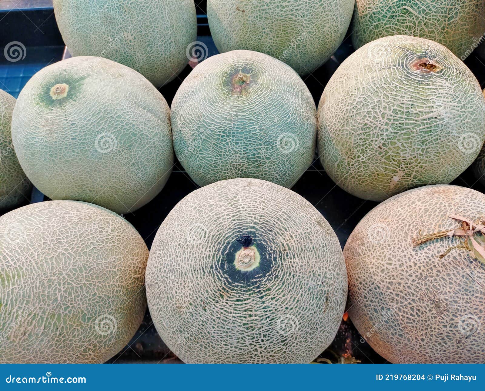 Melon Display in Supermarkets Stock Photo - Image of leaf, vegetable ...