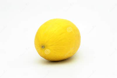 Melon of the Form of a Ball for Rugby Stock Photo - Image of background ...