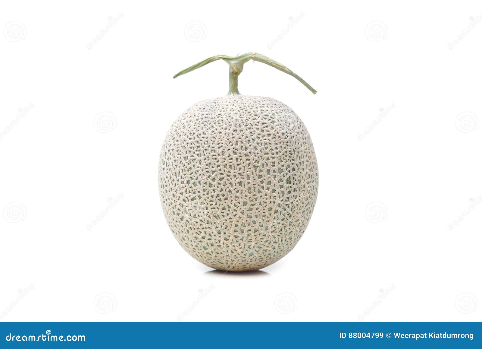 Melon stock image. Image of ripe, isolated, juicy, organic - 88004799