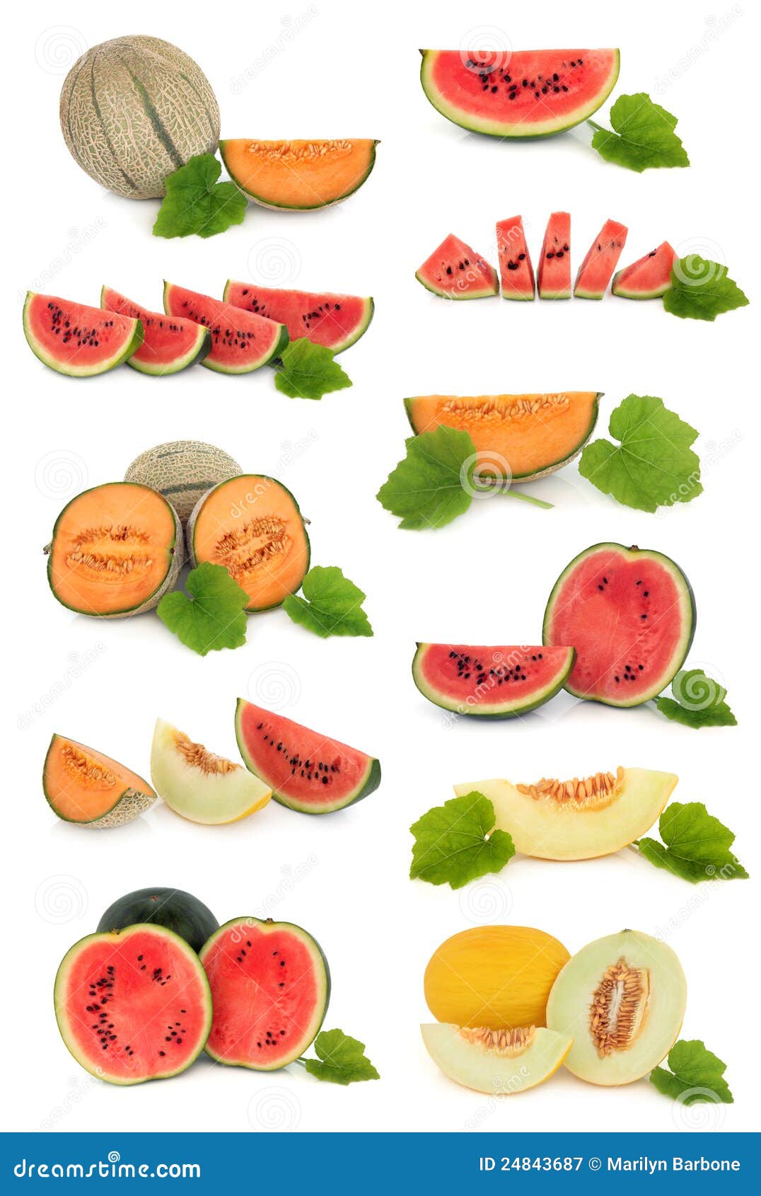 Melon Fruit Collection stock image. Image of cantaloupe - 24843687