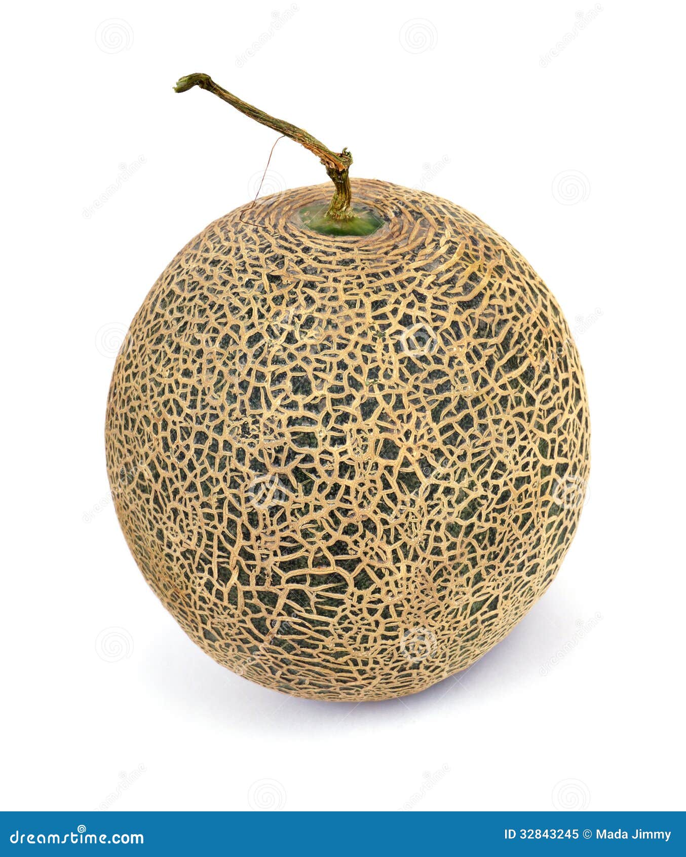 Melon Fruit Stock Image | CartoonDealer.com #32843245