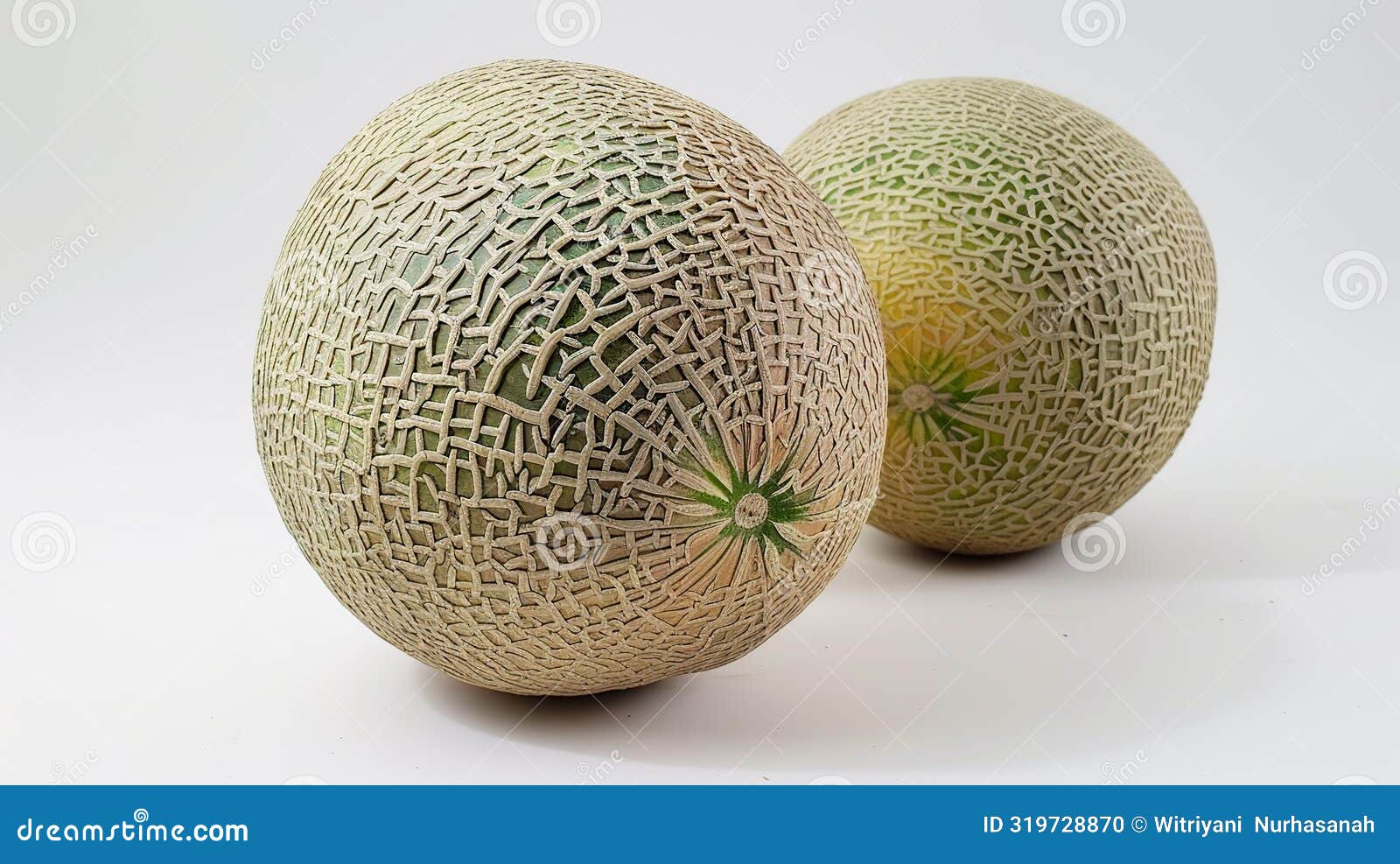 Melon Fruit, One Spherical Melon on a White Background. Generative Ai ...