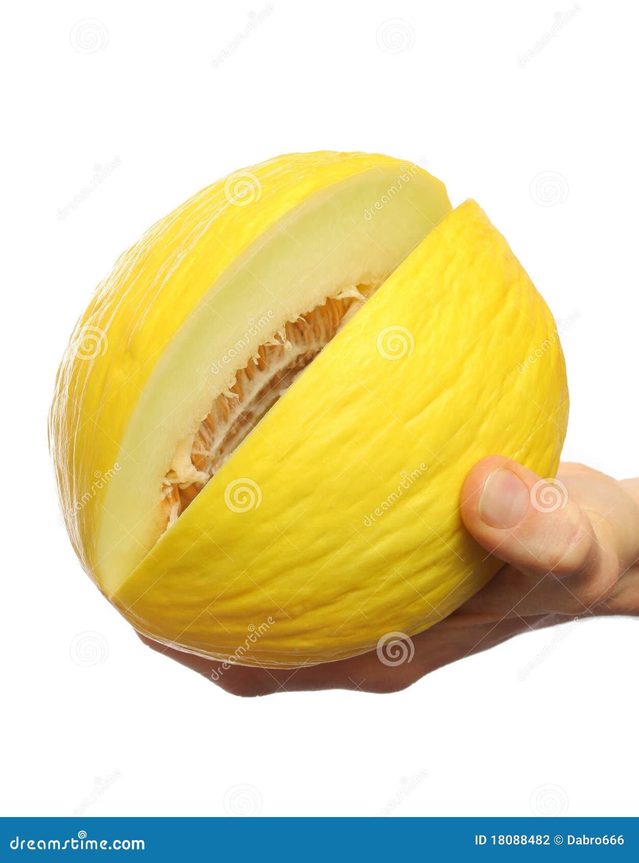 Melon in the hand stock photo. Image of organic, hand - 18088482