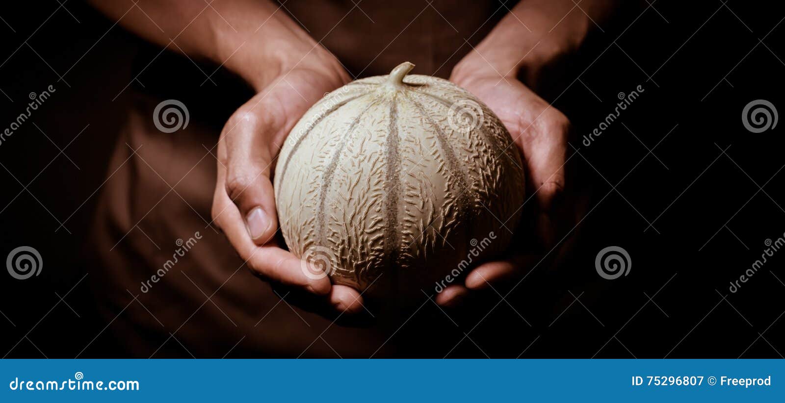 Melon In Hand, Cantaloupe Melons Growing In A Greenhouse Supported By ...