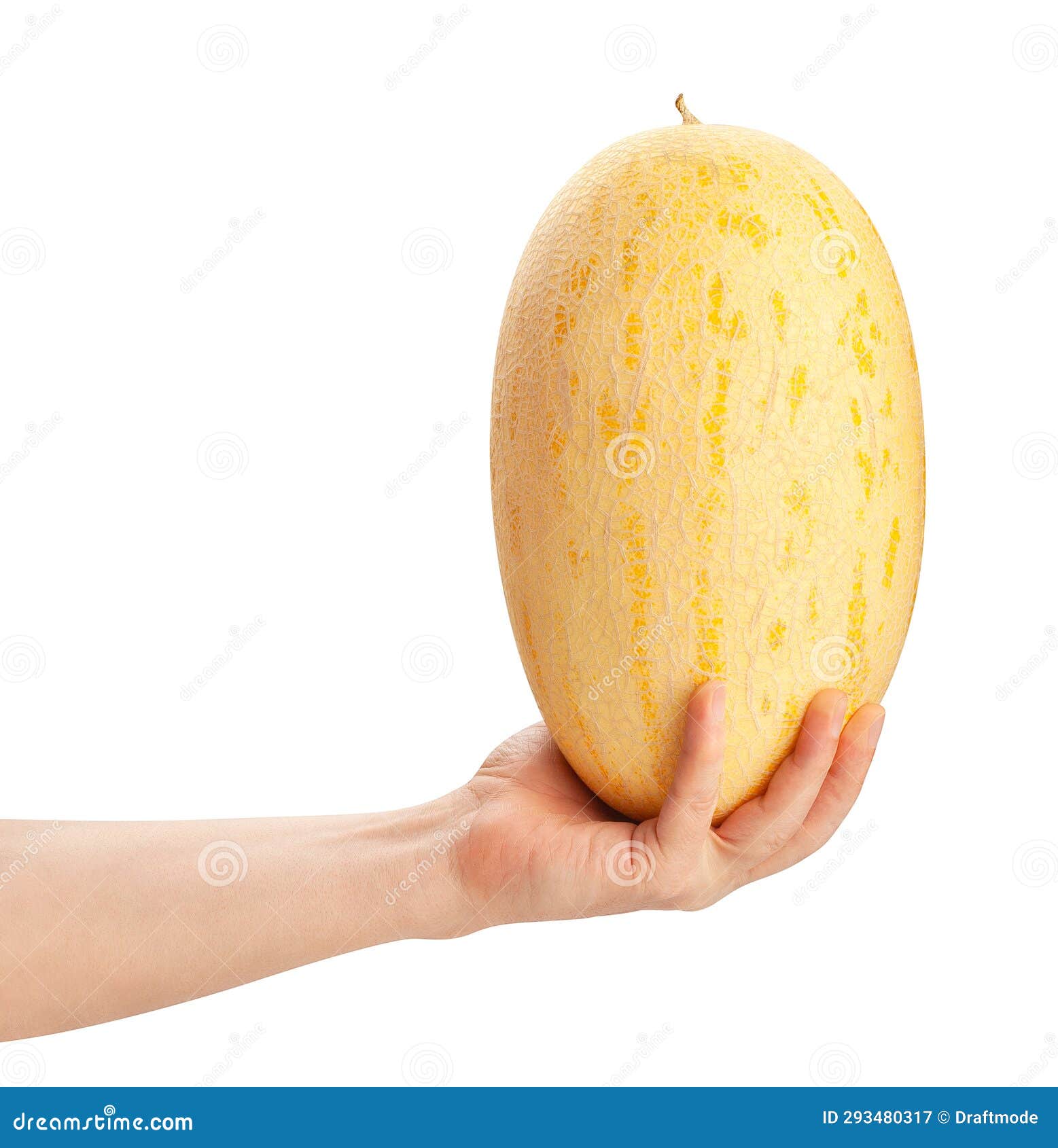 Melon in hand stock image. Image of clipping, hand, nutrient - 293480317