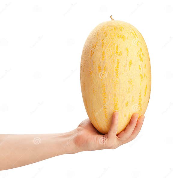 Melon in hand stock image. Image of clipping, hand, nutrient - 293480317