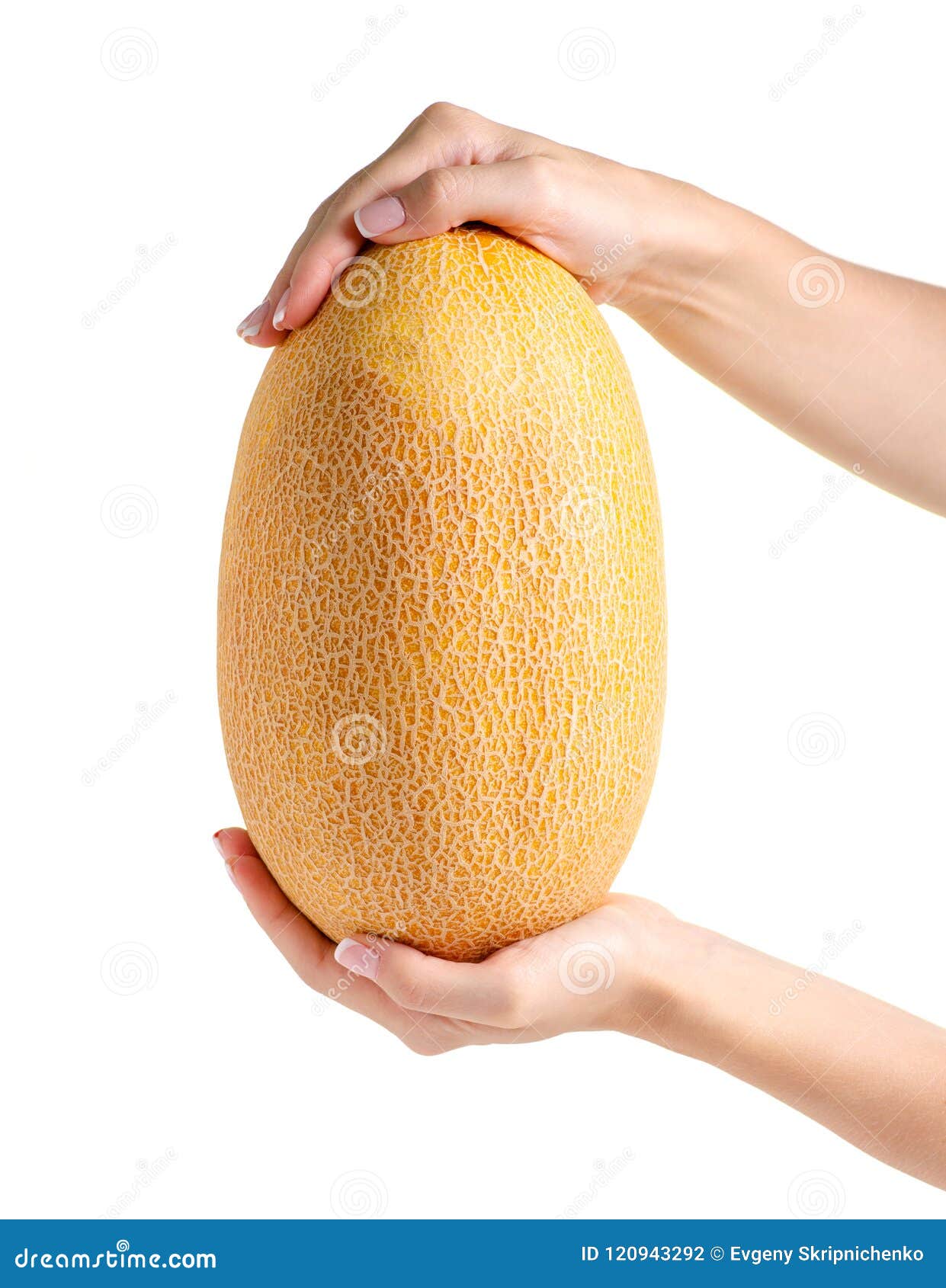 Melon in hand stock photo. Image of pieces, refreshment - 120943292