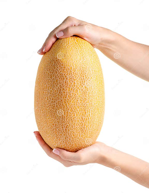 Melon in hand stock photo. Image of pieces, refreshment - 120943292