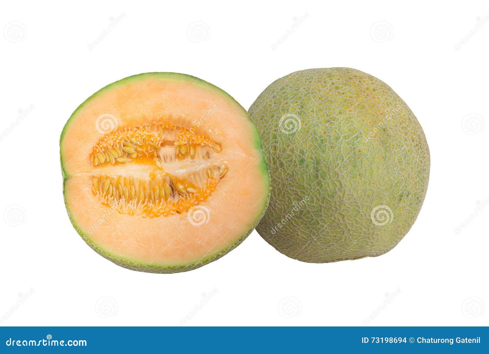 Melon isolated top view stock photo. Image of healthy - 73198694