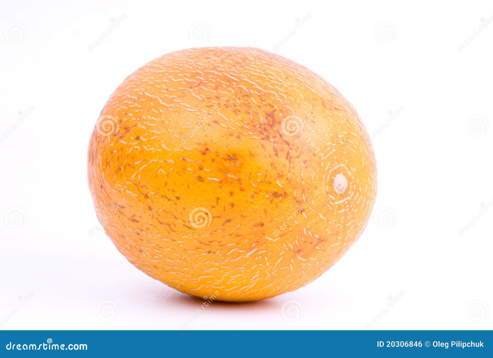 Melon isolated on white stock photo. Image of juicy, color - 20306846