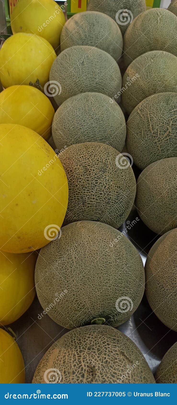 Melon Kuning Y Melon Hijau De Indonesia Imagen de archivo - Imagen de ...