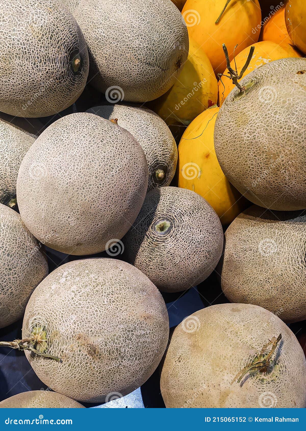 Melon looks refreshing stock photo. Image of berry, leaf - 215065152