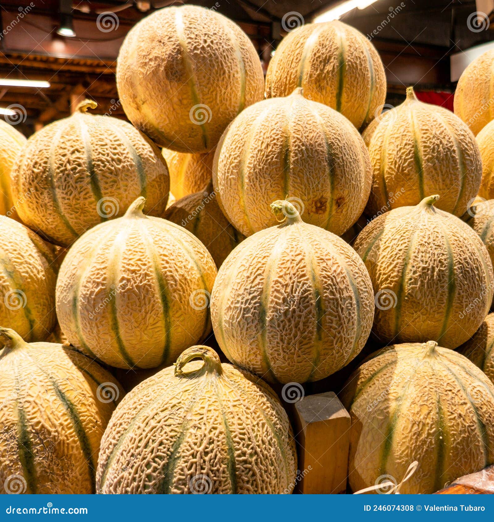 Big melons stall at market stock photo. Image of cassettes - 246074308