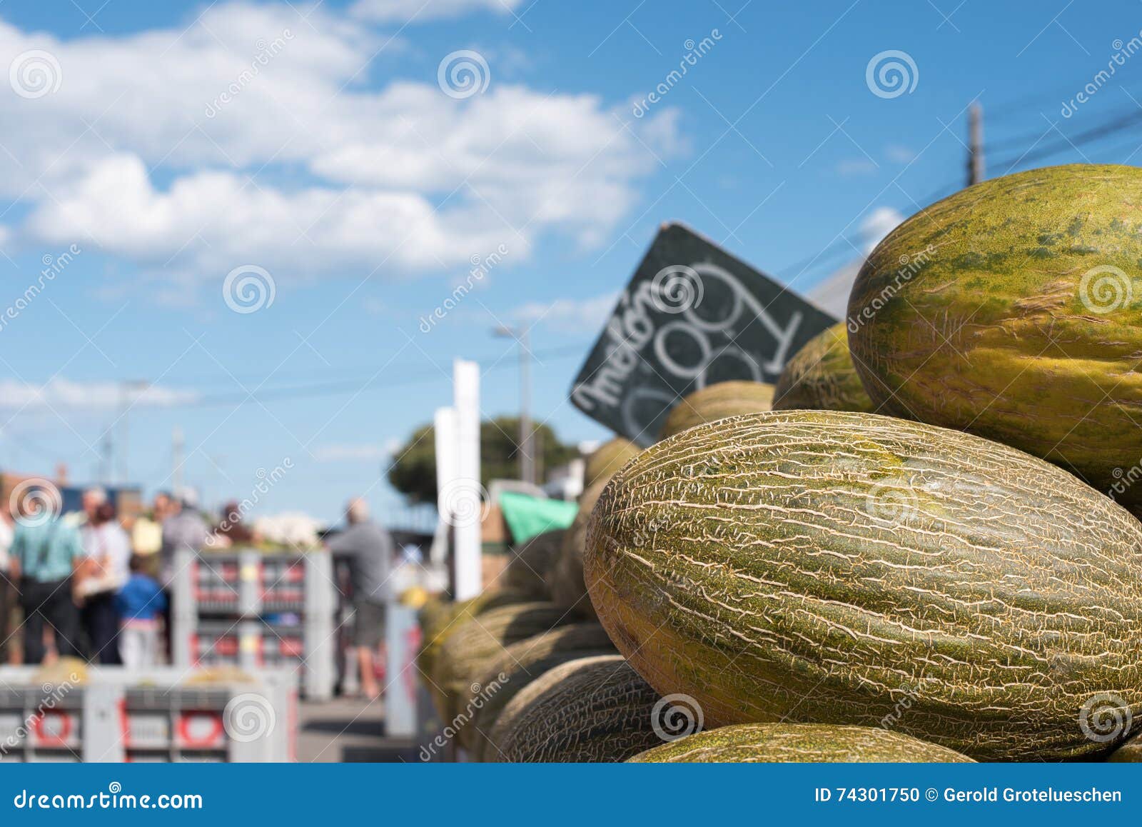 Melon on the market stock photo. Image of display, snack - 74301750
