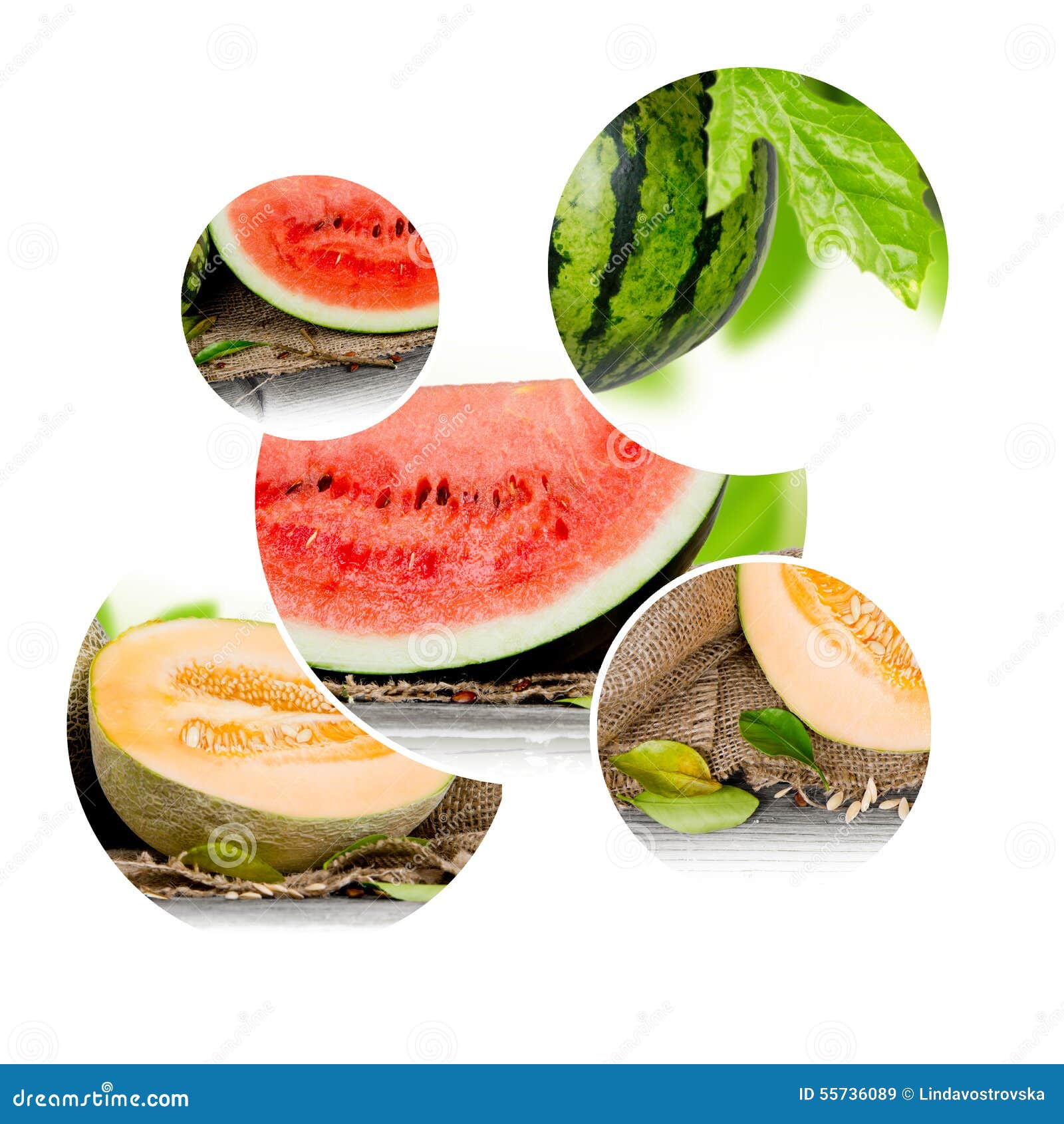 Melon mix stock image. Image of autumn, healthy, fruit - 55736089