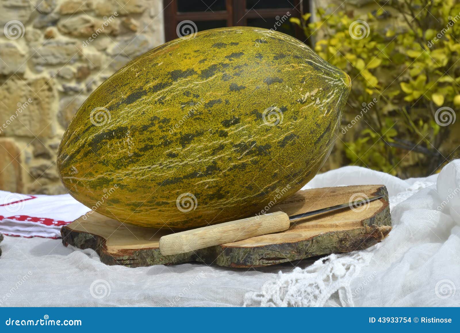 Melon outdoors stock photo. Image of fruit, still, country - 43933754