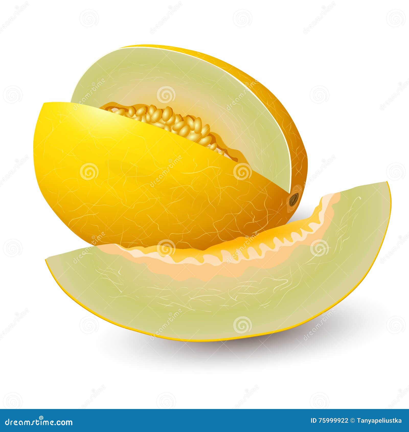 Melon Cartoons, Illustrations & Vector Stock Images - 44829 Pictures to ...