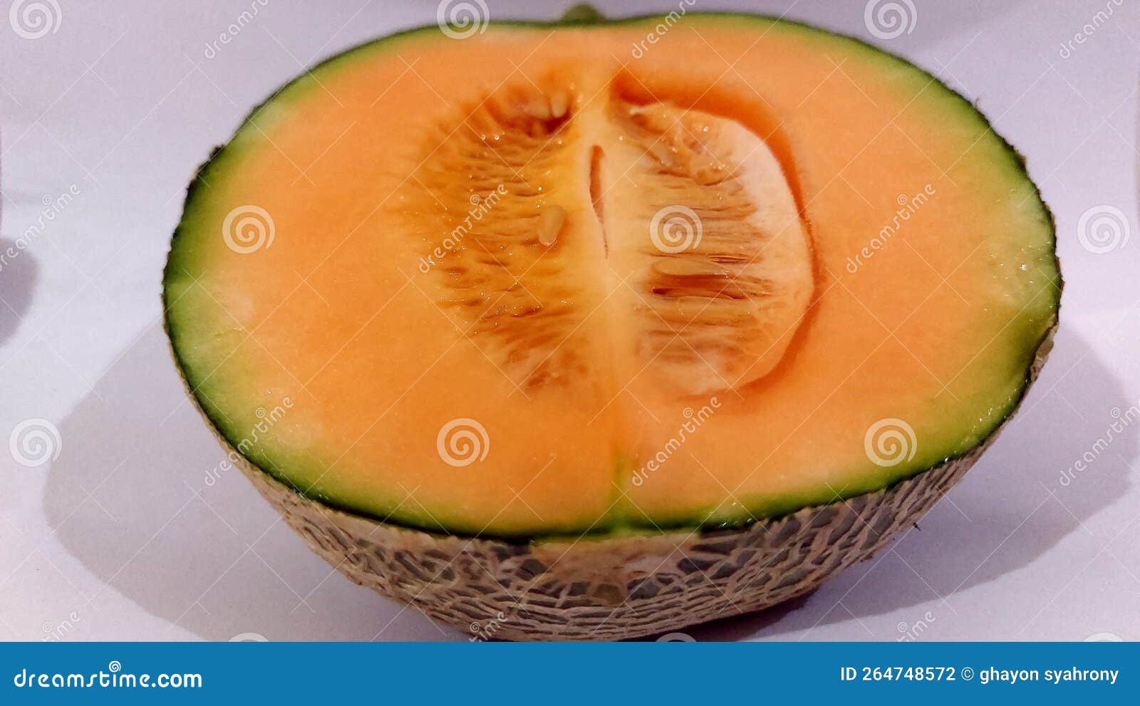 Melon rock orange stock photo. Image of rock, sweet - 264748572