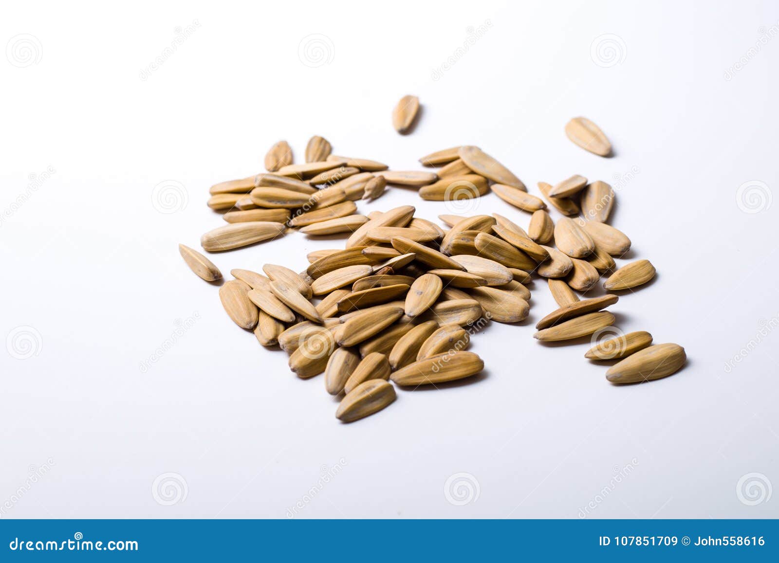 Melon seeds stock image. Image of roasted, fried, healthy - 107851709