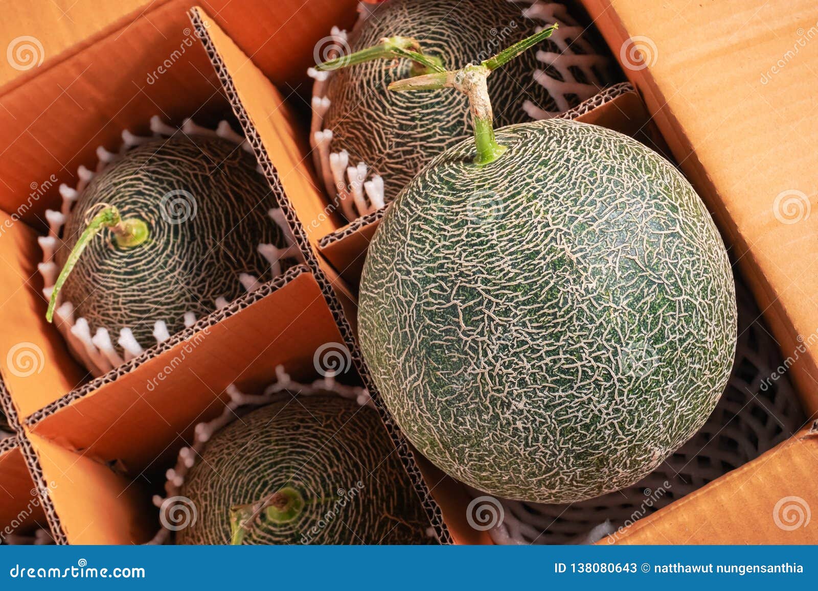 Melon in the Six Pack Boxes the Result is Pretty Big Stock Image ...