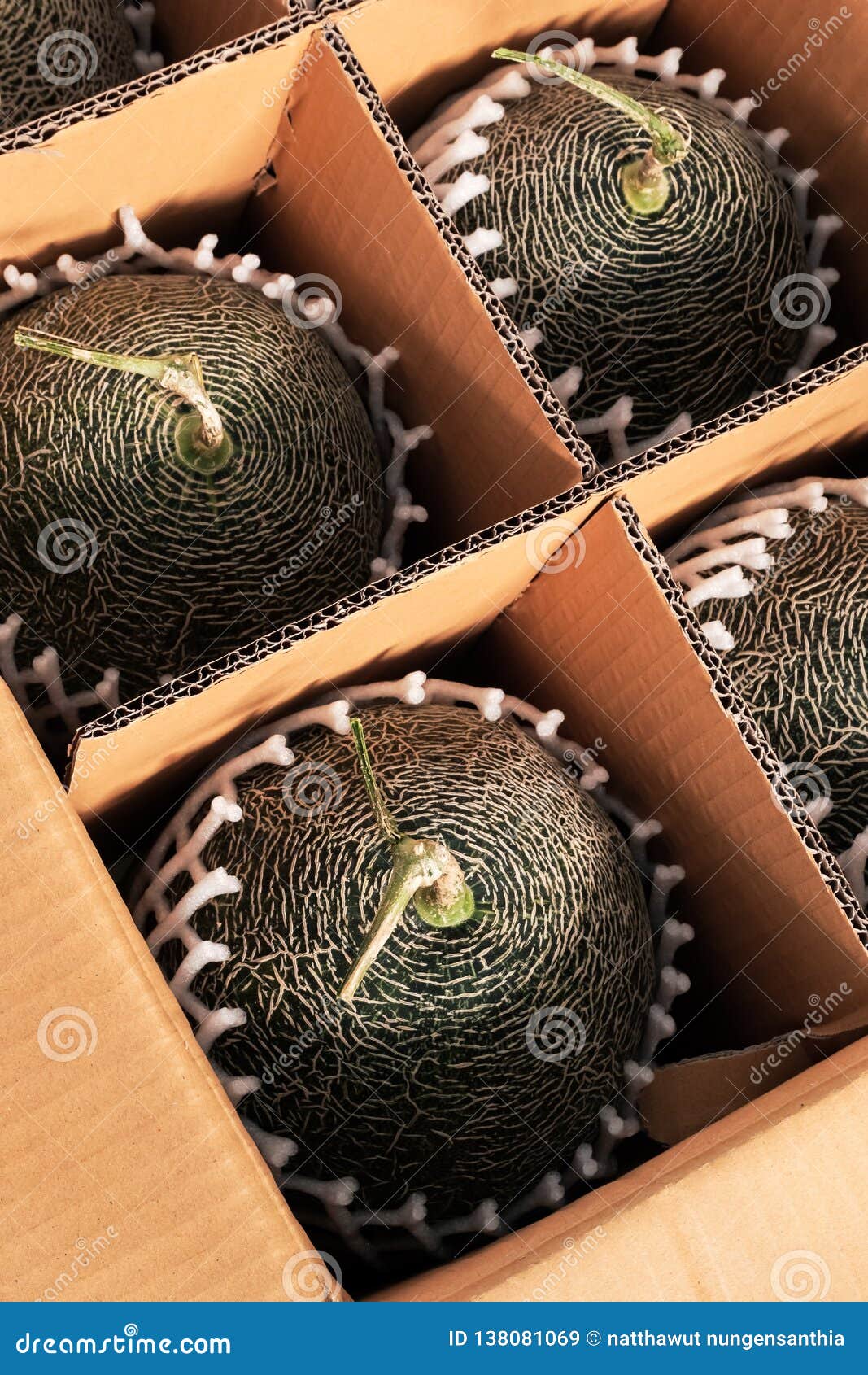 Melon in the Six Pack Boxes the Result is Pretty Big Stock Image ...