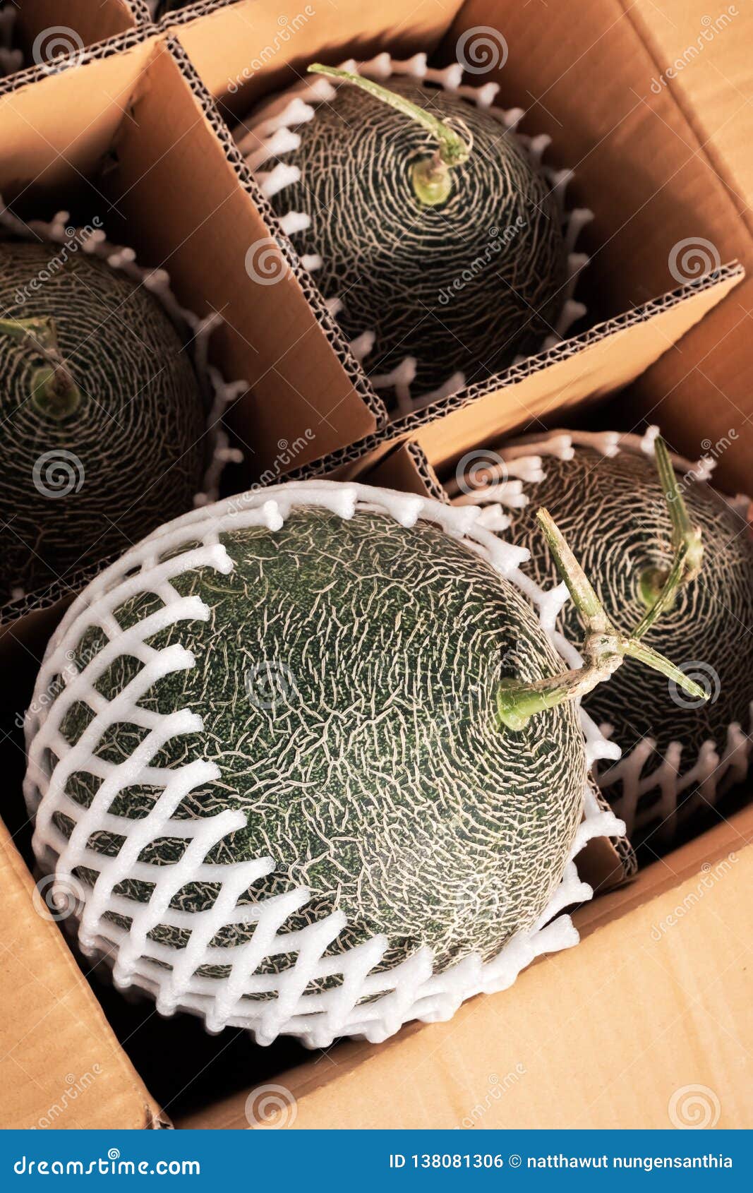Melon in the Six Pack Boxes the Result is Pretty Big Stock Photo ...