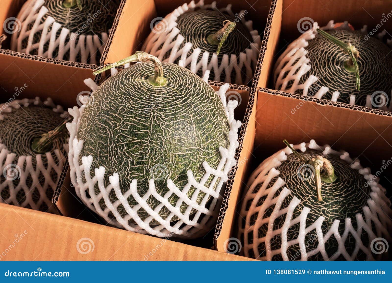 Melon in the Six Pack Boxes the Result is Pretty Big Stock Image ...