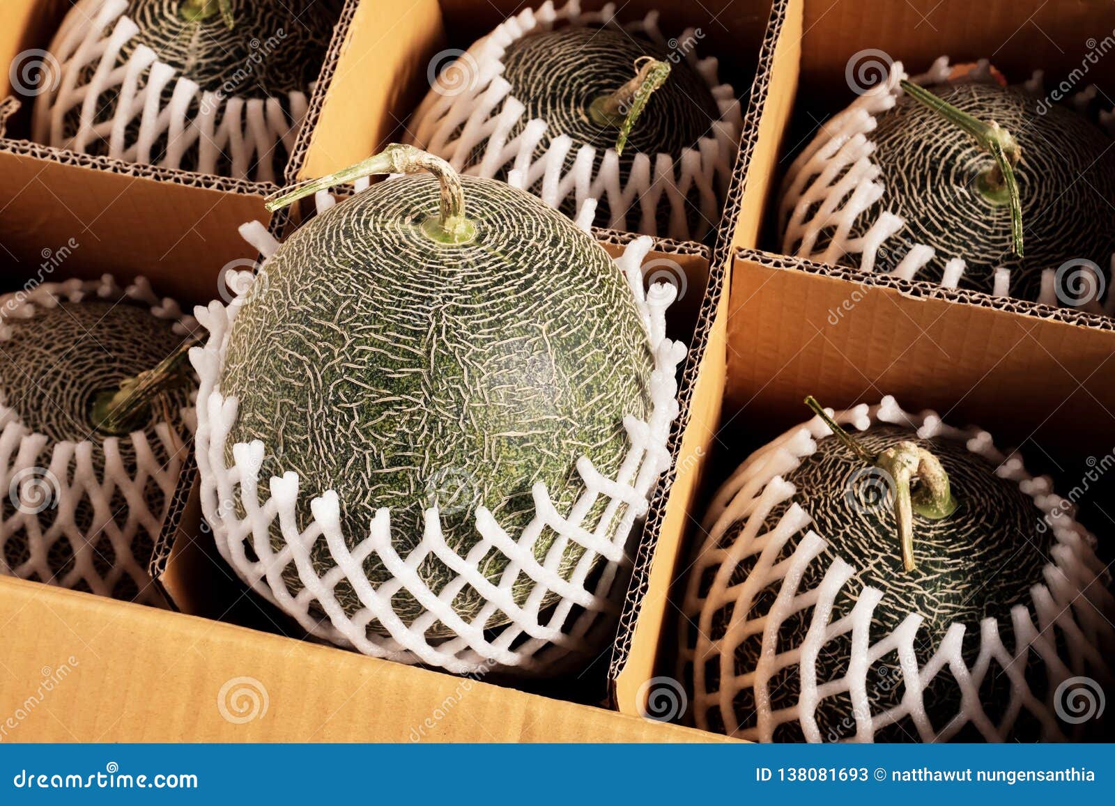 Melon in the Six Pack Boxes the Result is Pretty Big Stock Image ...