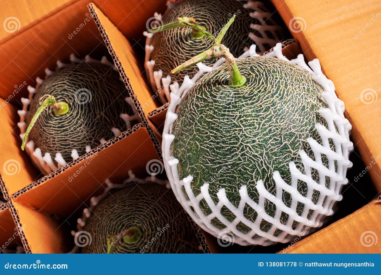 Melon in the Six Pack Boxes the Result is Pretty Big Stock Photo ...