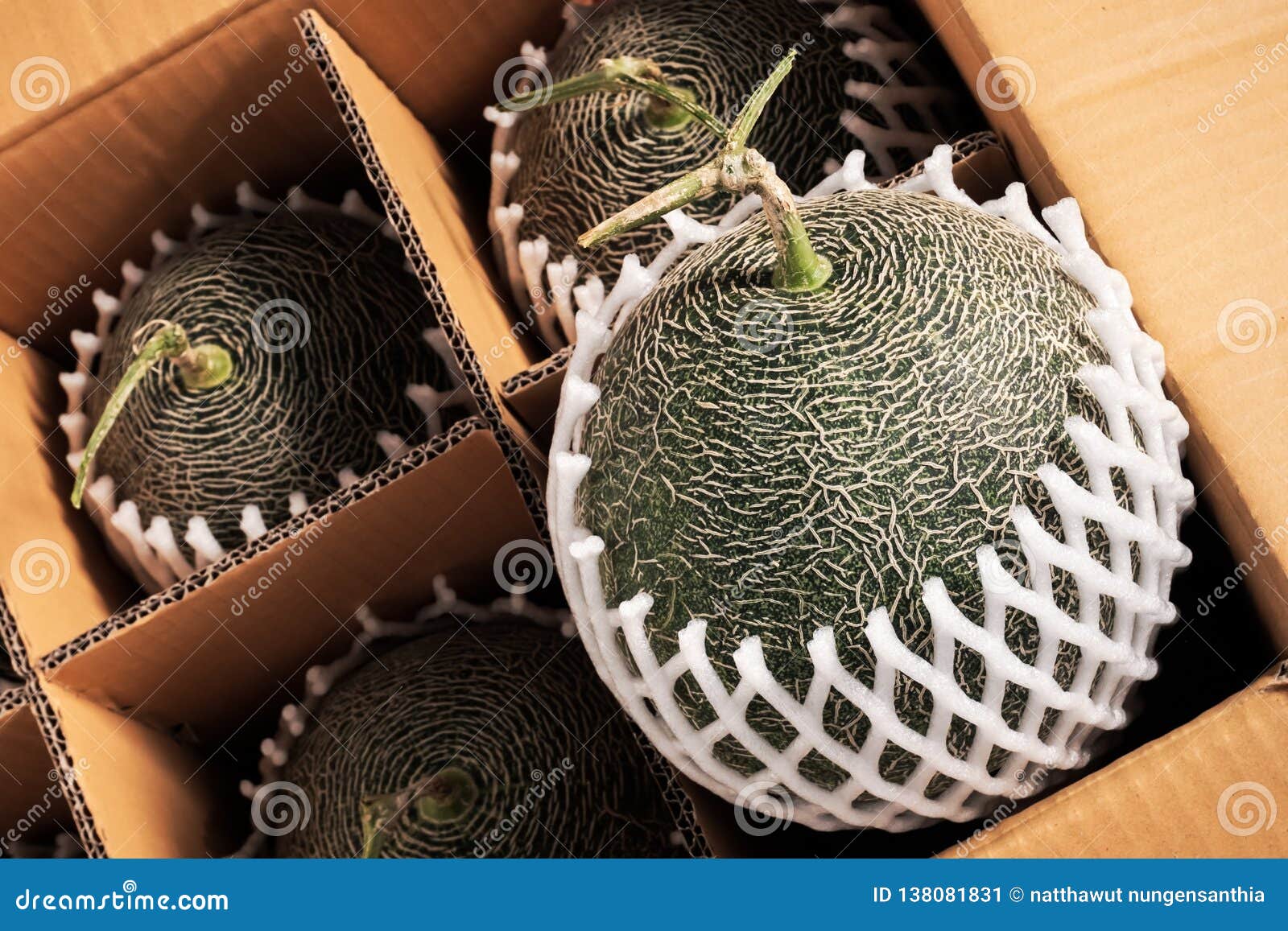 Melon in the Six Pack Boxes the Result is Pretty Big Stock Image ...