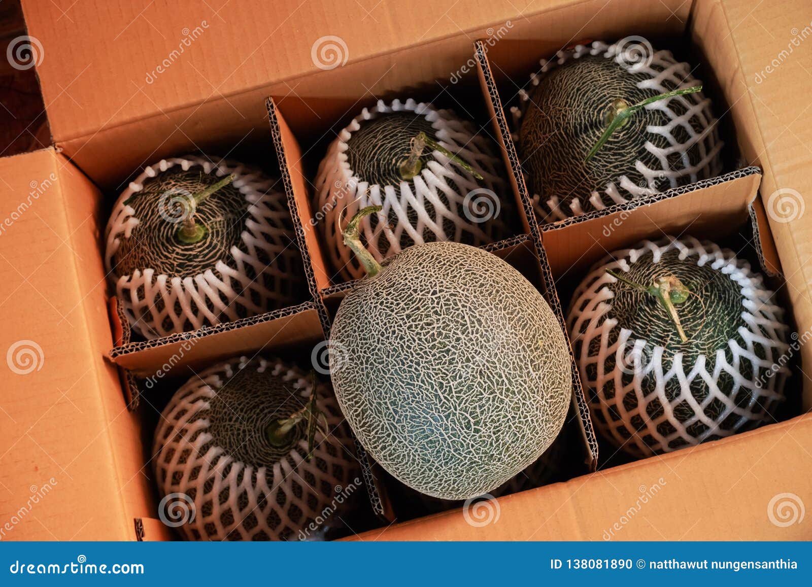 Melon in the Six Pack Boxes the Result is Pretty Big Stock Photo ...
