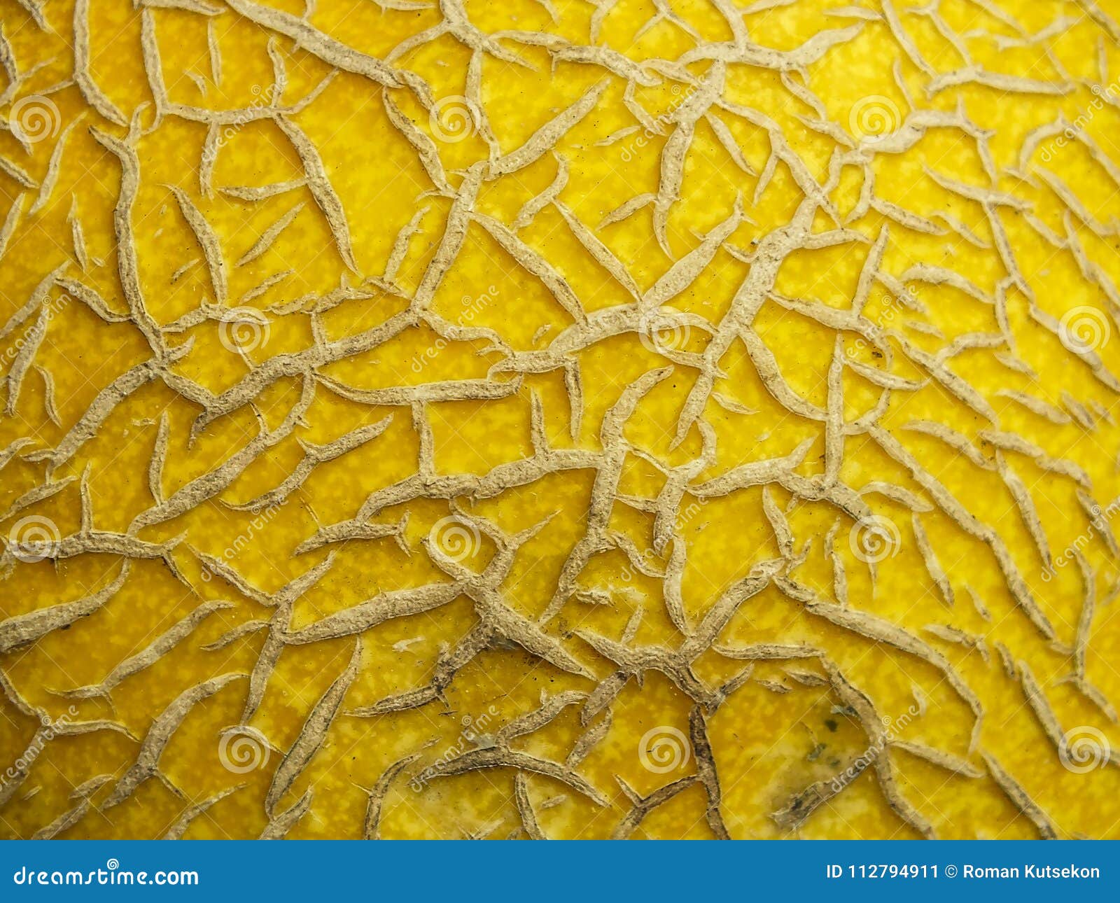 Melon skin stock image. Image of background, close, dessert - 112794911
