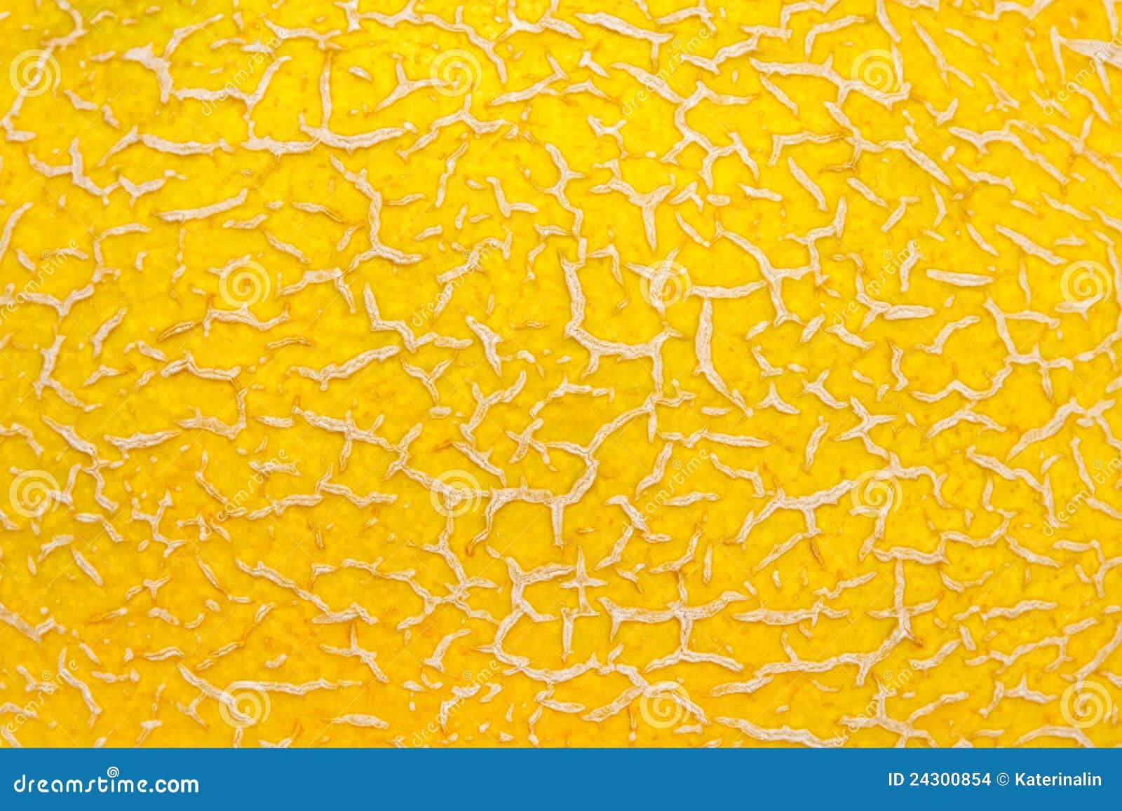 Melon Skin Texture Royalty-Free Stock Image | CartoonDealer.com #68236810