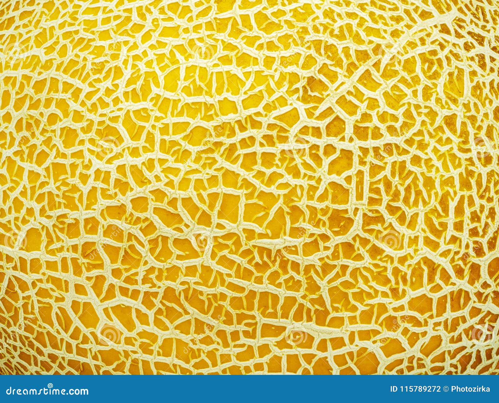Closeup of Yellow Melon Texture Stock Photo - Image of horizontal ...