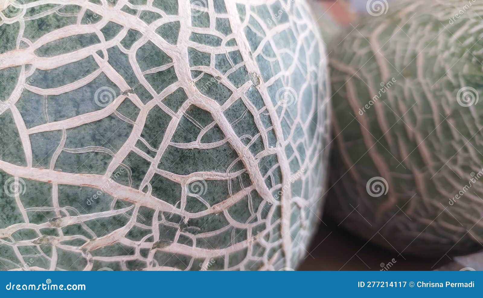 Melon Skin Texture that Looks Exotic Stock Image - Image of texture ...