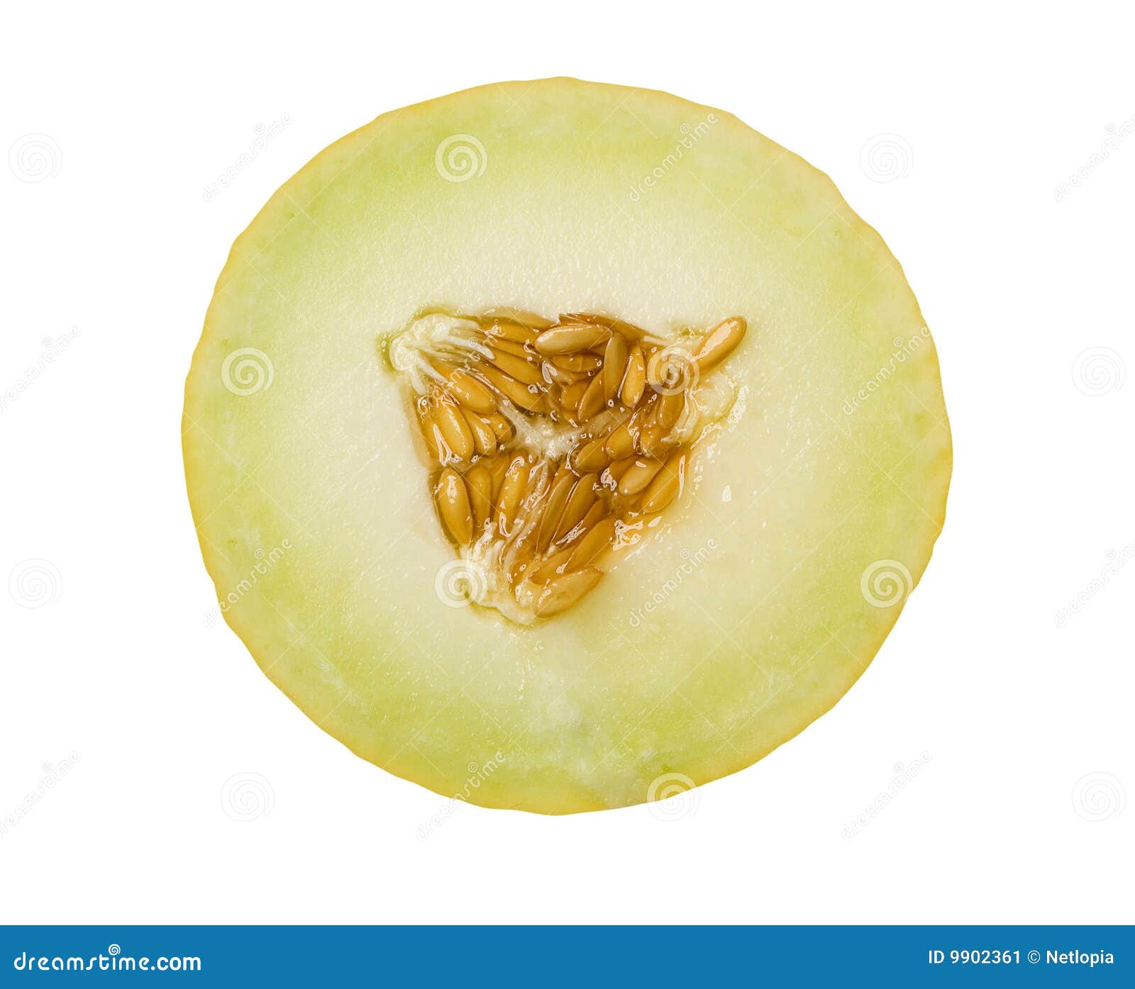 Melon slice stock image. Image of food, melon, fruit, sweet - 9902361