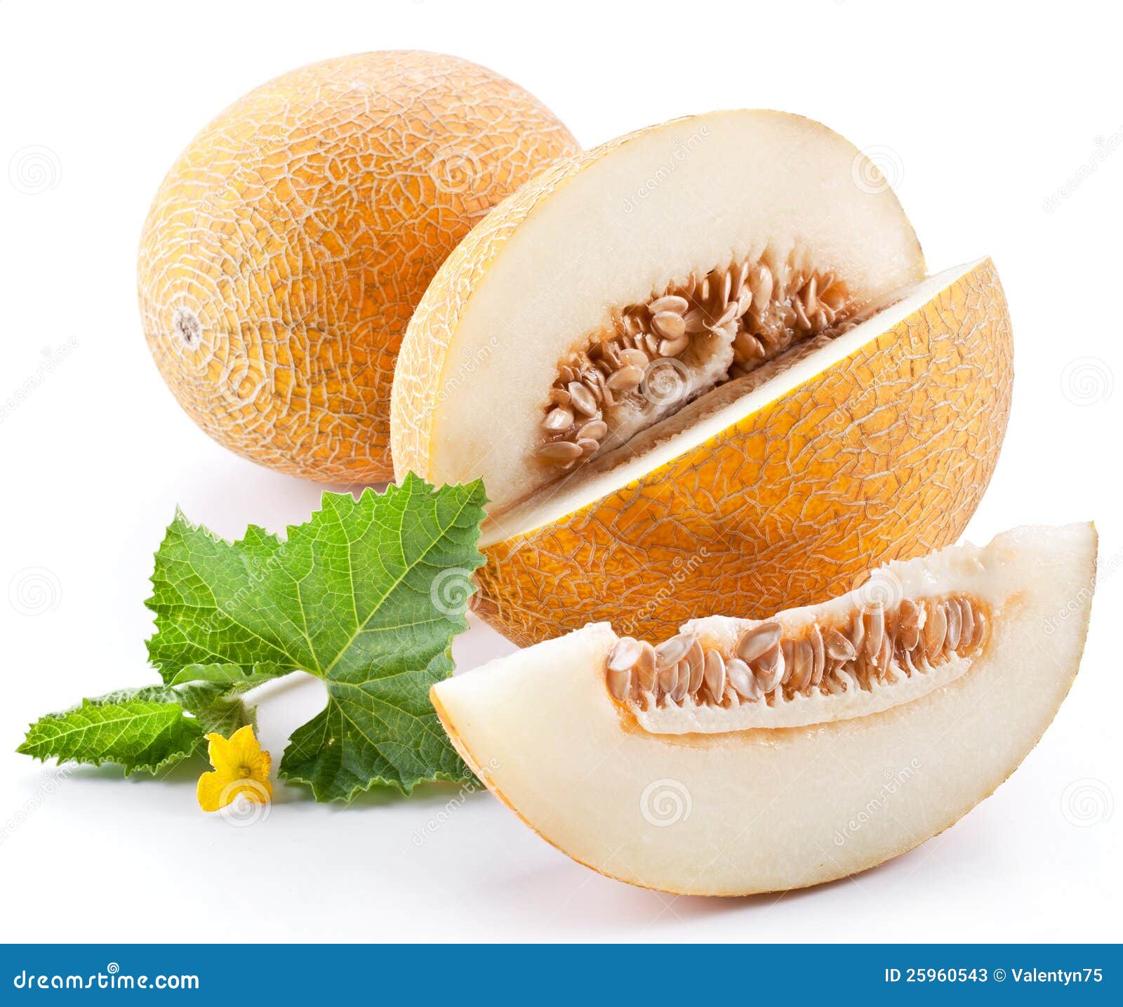Melon with Slices and Leaves Stock Image - Image of honey, leaves: 25960543