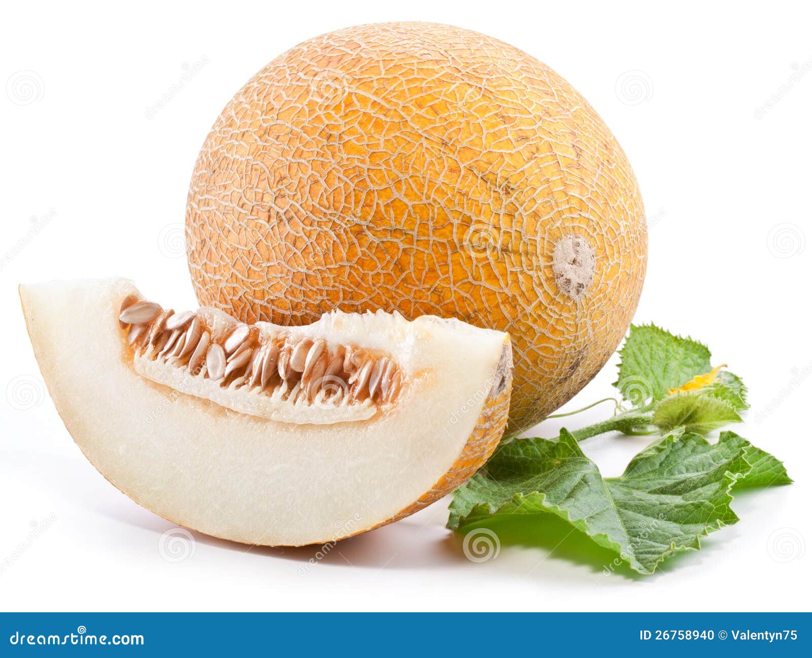 Melon with Slices and Leaves Stock Photo - Image of nutritious, object ...