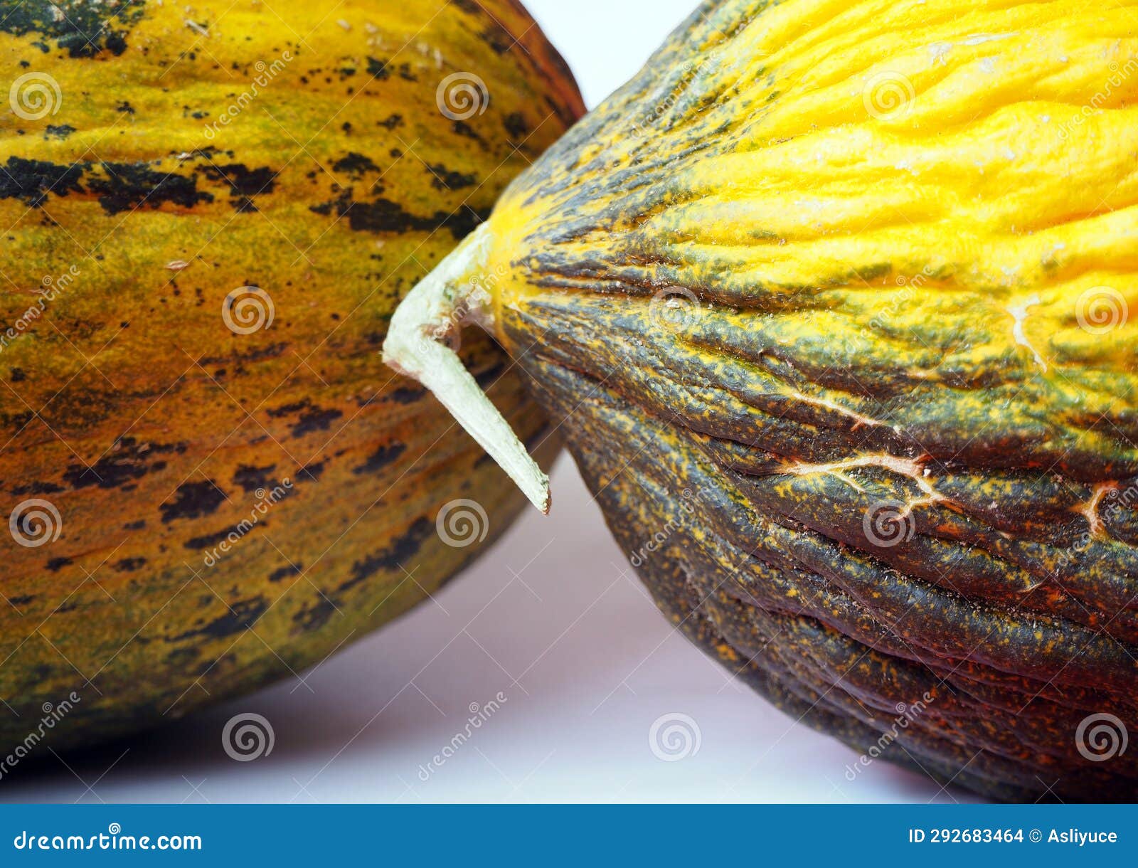 Melon with Sun-spotted Shell Stock Photo - Image of melo, aroma: 292683464