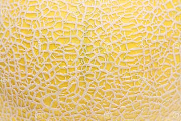 Melon texture stock image. Image of yellow, texture, closeup - 11240663