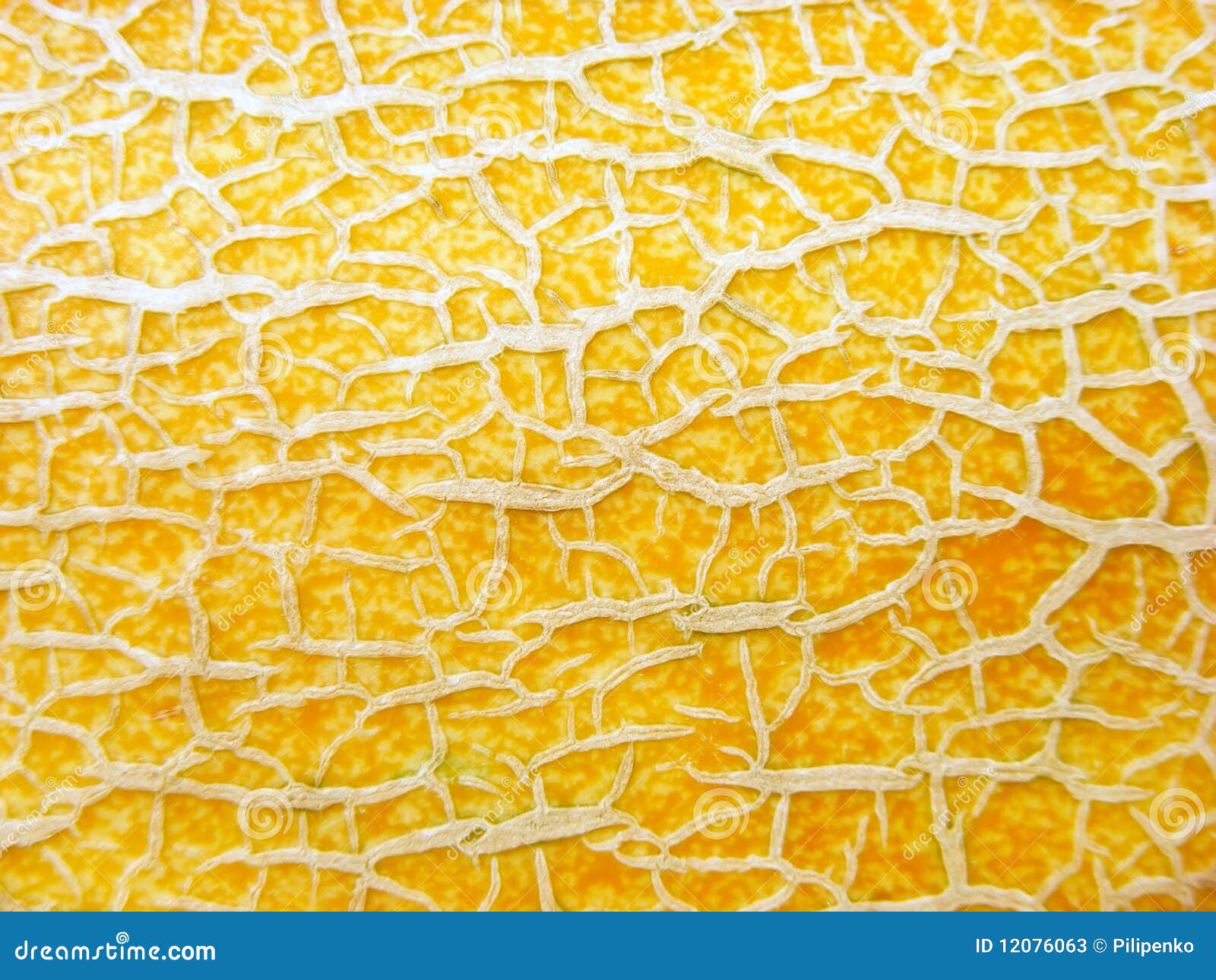 Melon texture stock image. Image of eating, reticulate - 12076063