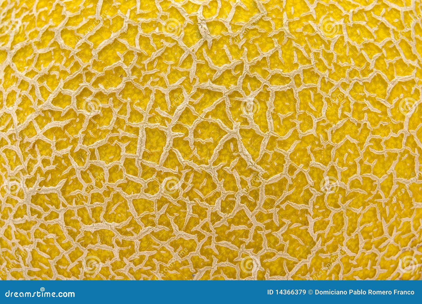 Melon texture stock image. Image of fruit, surface, gold - 14366379