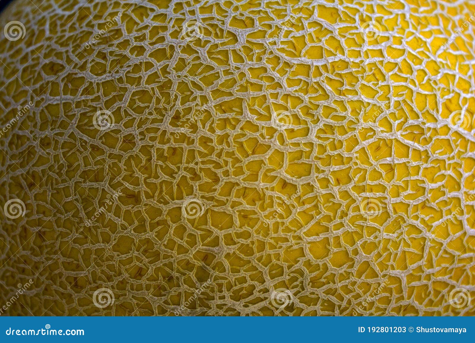 Melon texture close up stock image. Image of fruit, sweet - 192801203