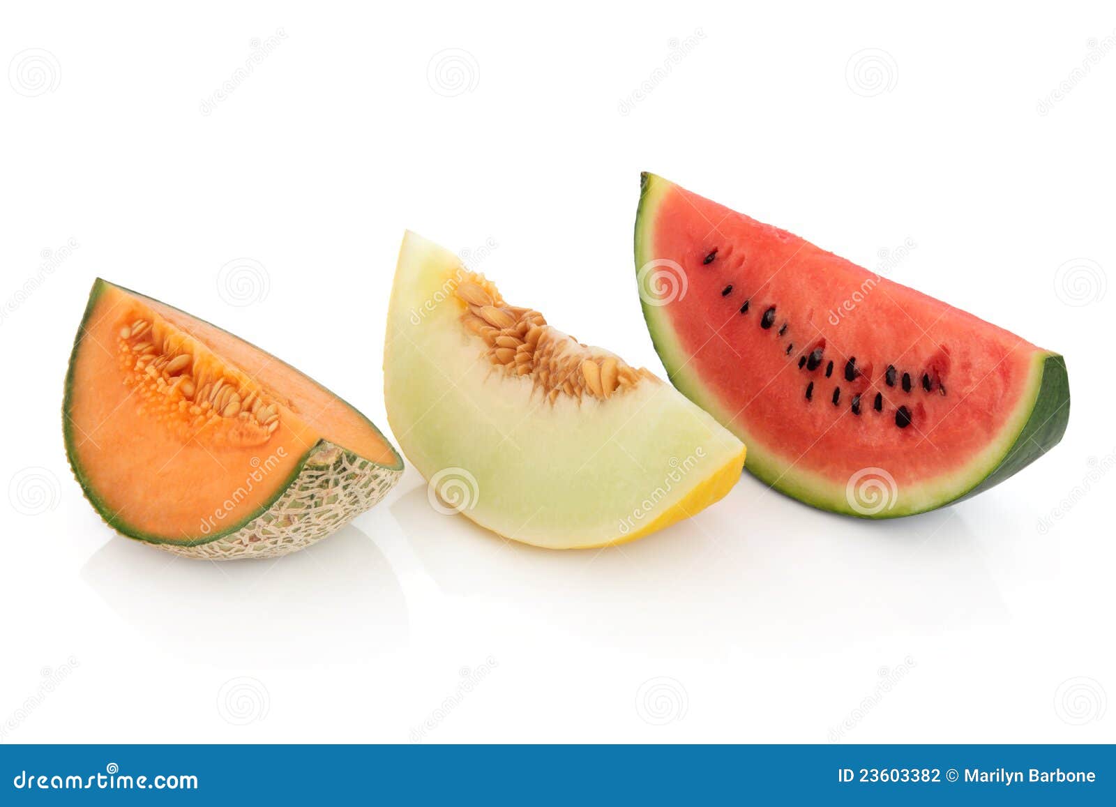 Melon Varieties stock photo. Image of wedge, slice, fruit - 23603382