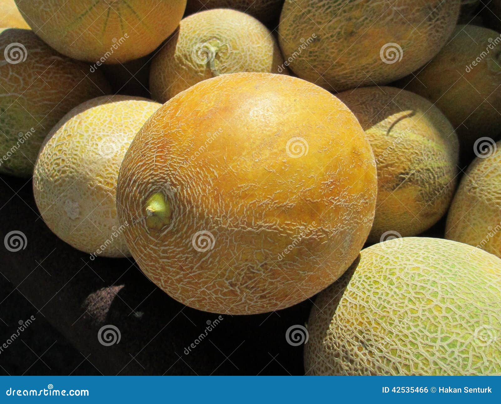 Melon stock photo. Image of yellow, bazaar, fruit, food - 42535466